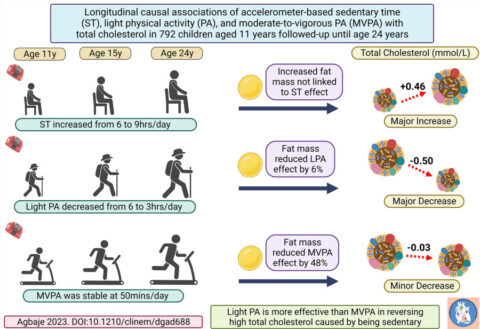 Home - The Sedentary Behaviour Research Network (SBRN)