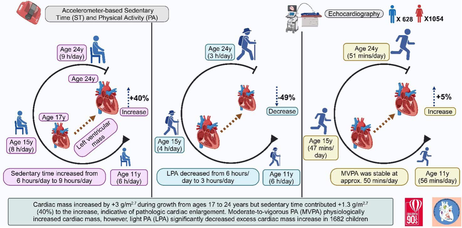 Re-post: Childhood sedentariness linked to premature heart damage ...
